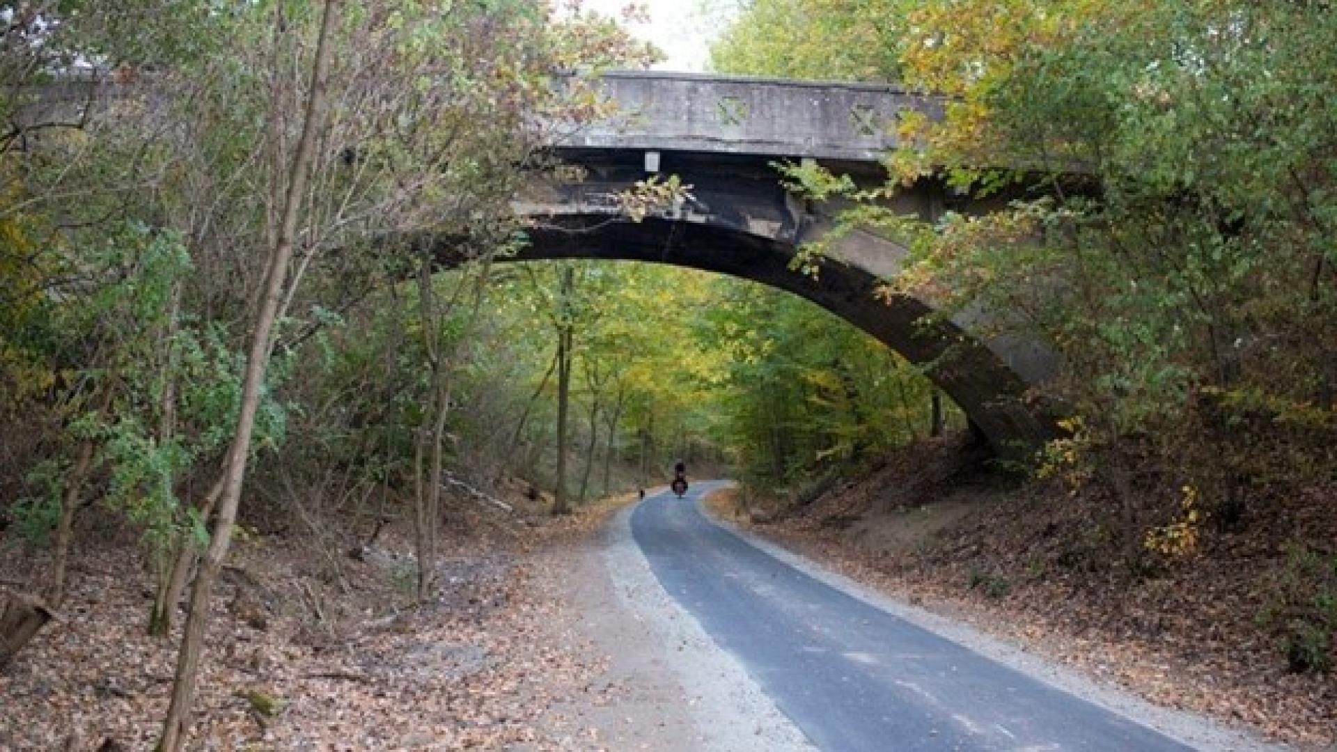 “Integrated Cycling Planning Guide”: An EU CYCLE tool for building ...