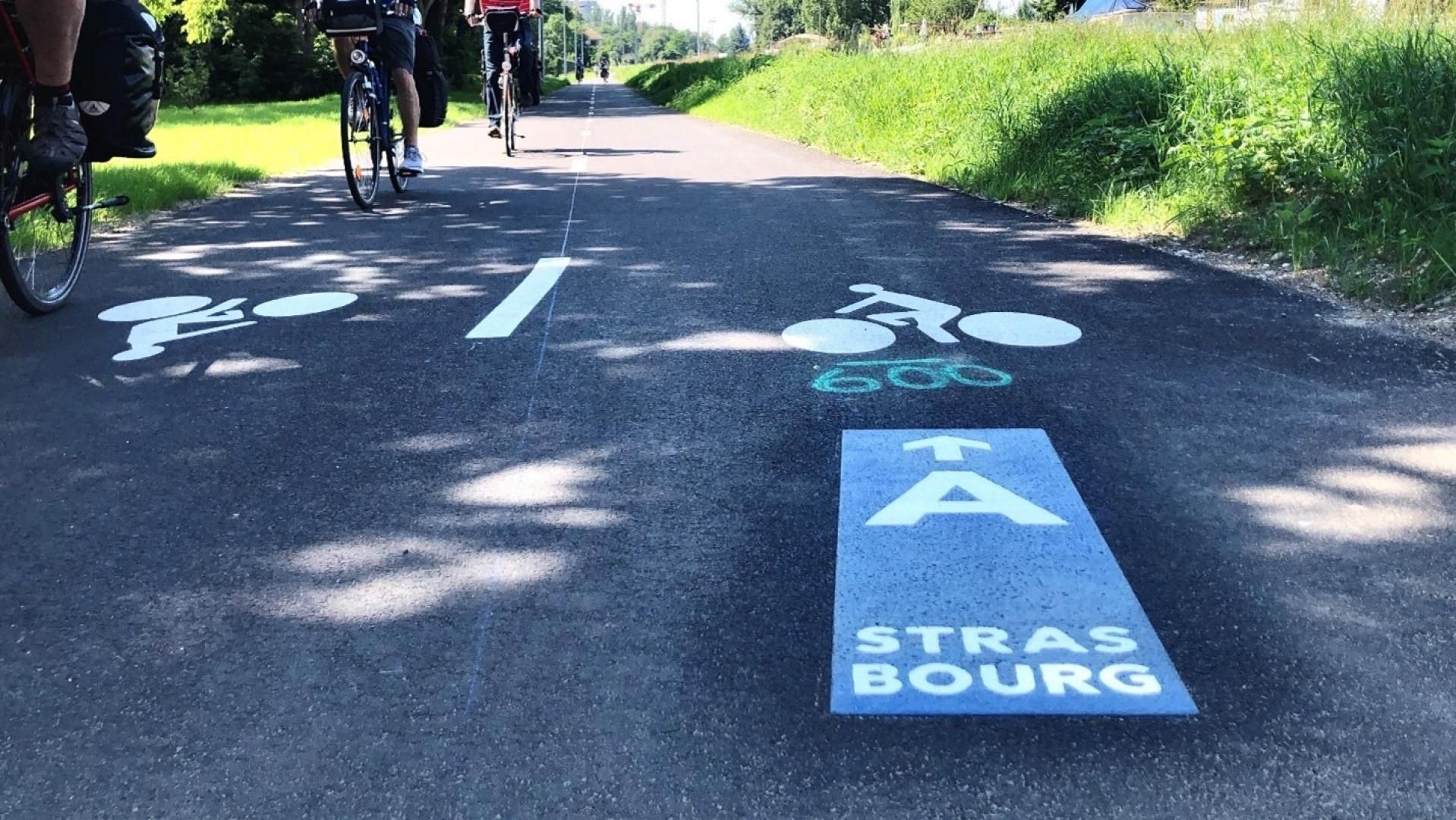 Can road markings support the development of cycling? - ECF